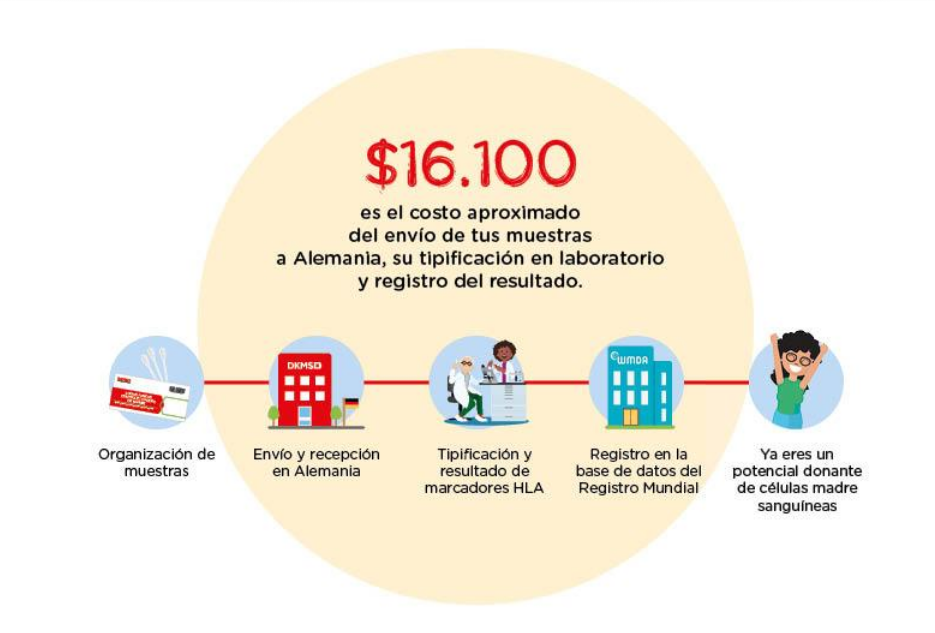 Etapas y costos del registro en DKMS